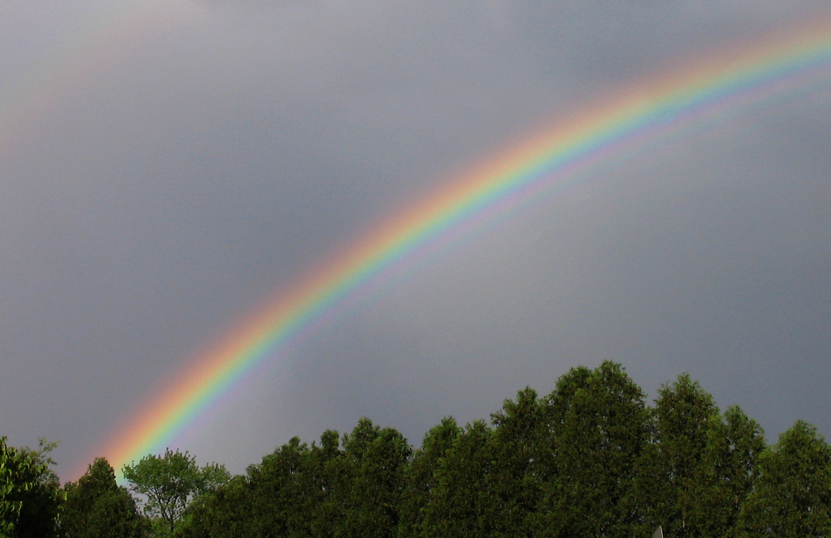 Moving at the Speed of Love - St. George's Episcopal Church