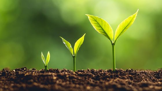 2023 Generosity Campaign - St. George's Episcopal Church